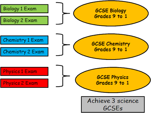 KS4 Years 10-11/ GCSE