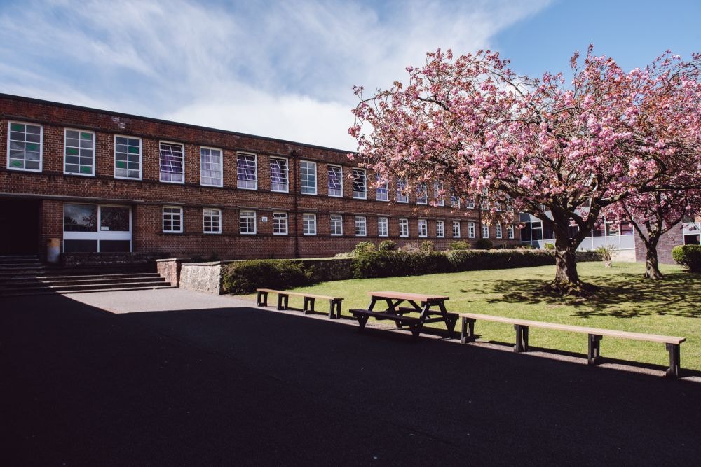 Gallery | Gallery | News and Dates | Risedale School