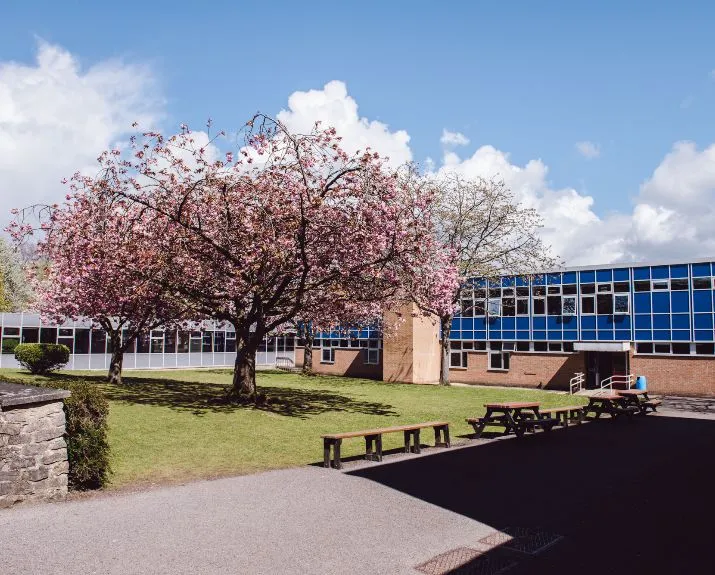 Welcome to Risedale School